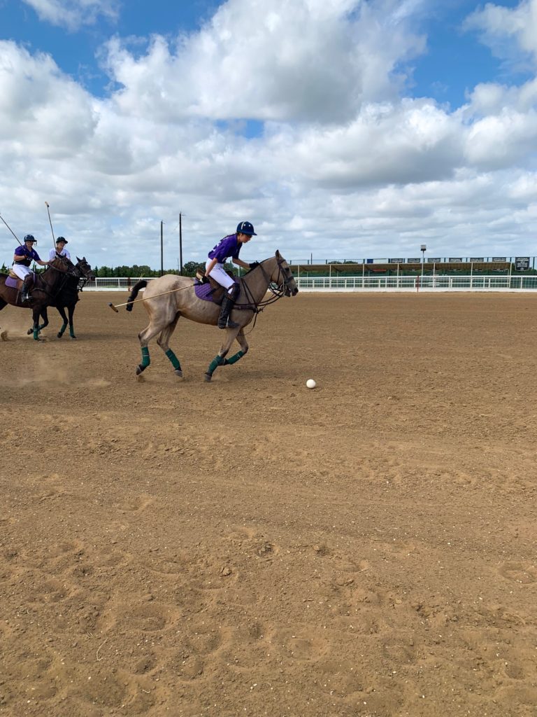 TCU Polo president opens club to everyone | TCU 360
