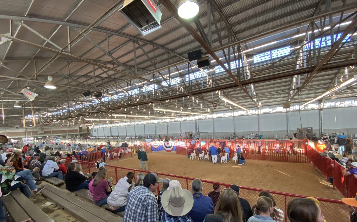 TCU Day at the Fort Worth Stock Show & Rodeo | TCU 360